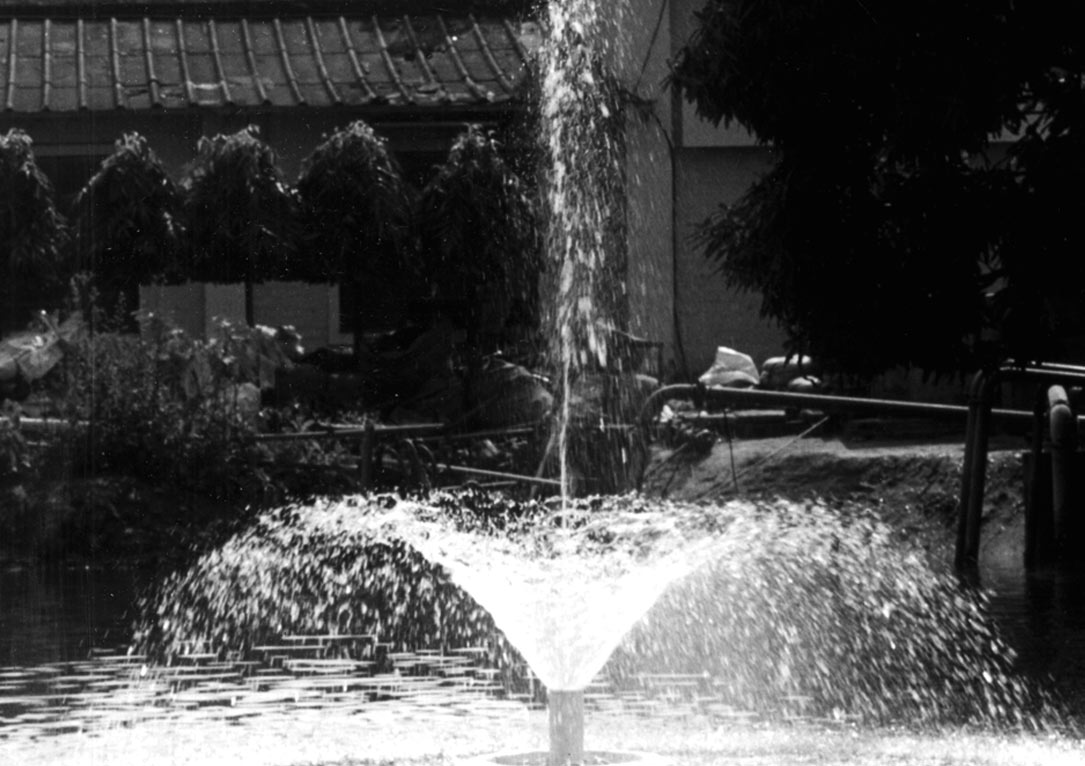 Floating Fountains – PREMIERWORLD Technology Ltd.